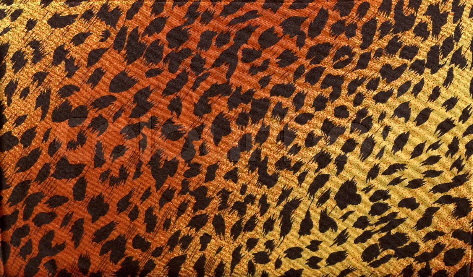 leopard as background | Stock image | Colourbox
