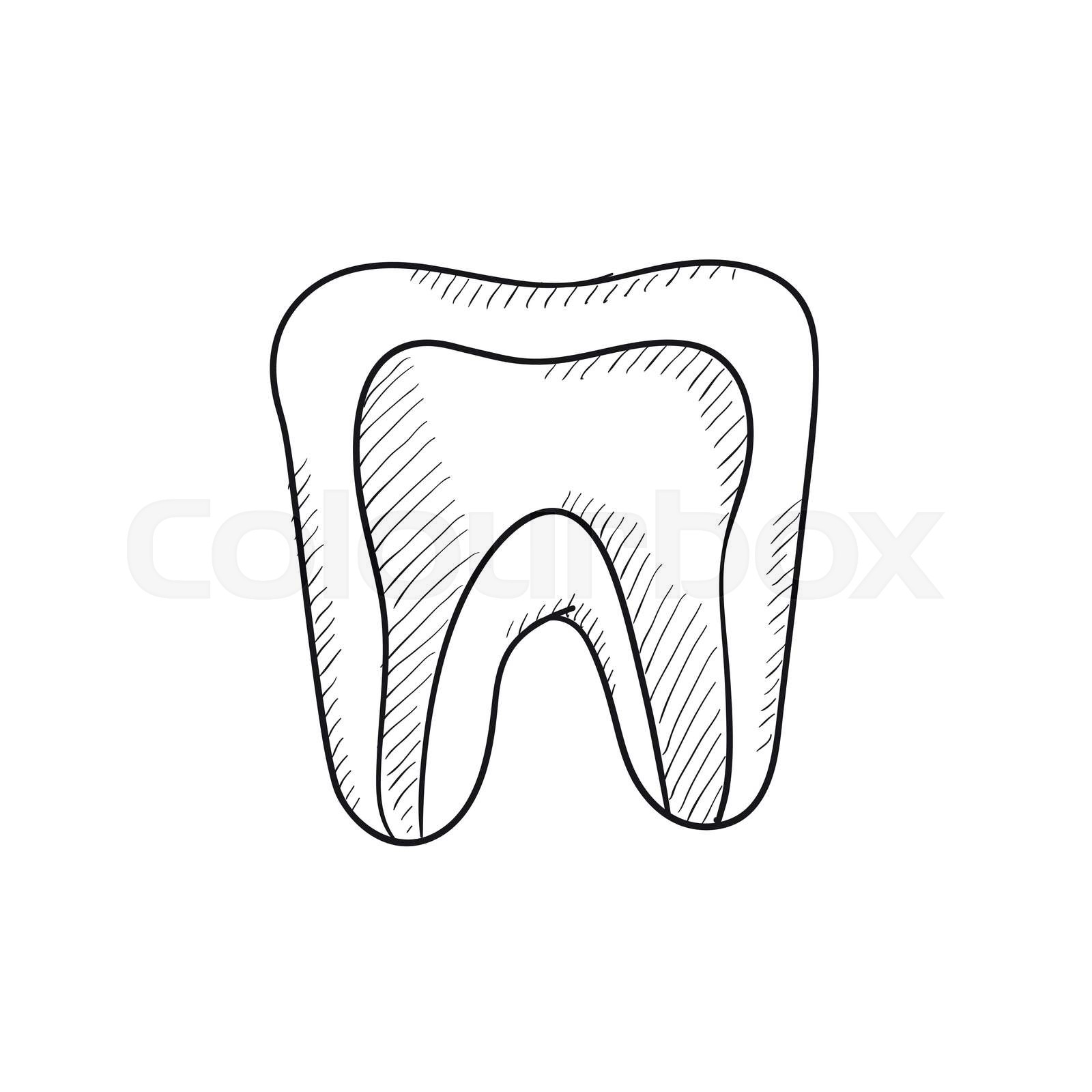 Molar tooth sketch icon. | Stock vector | Colourbox