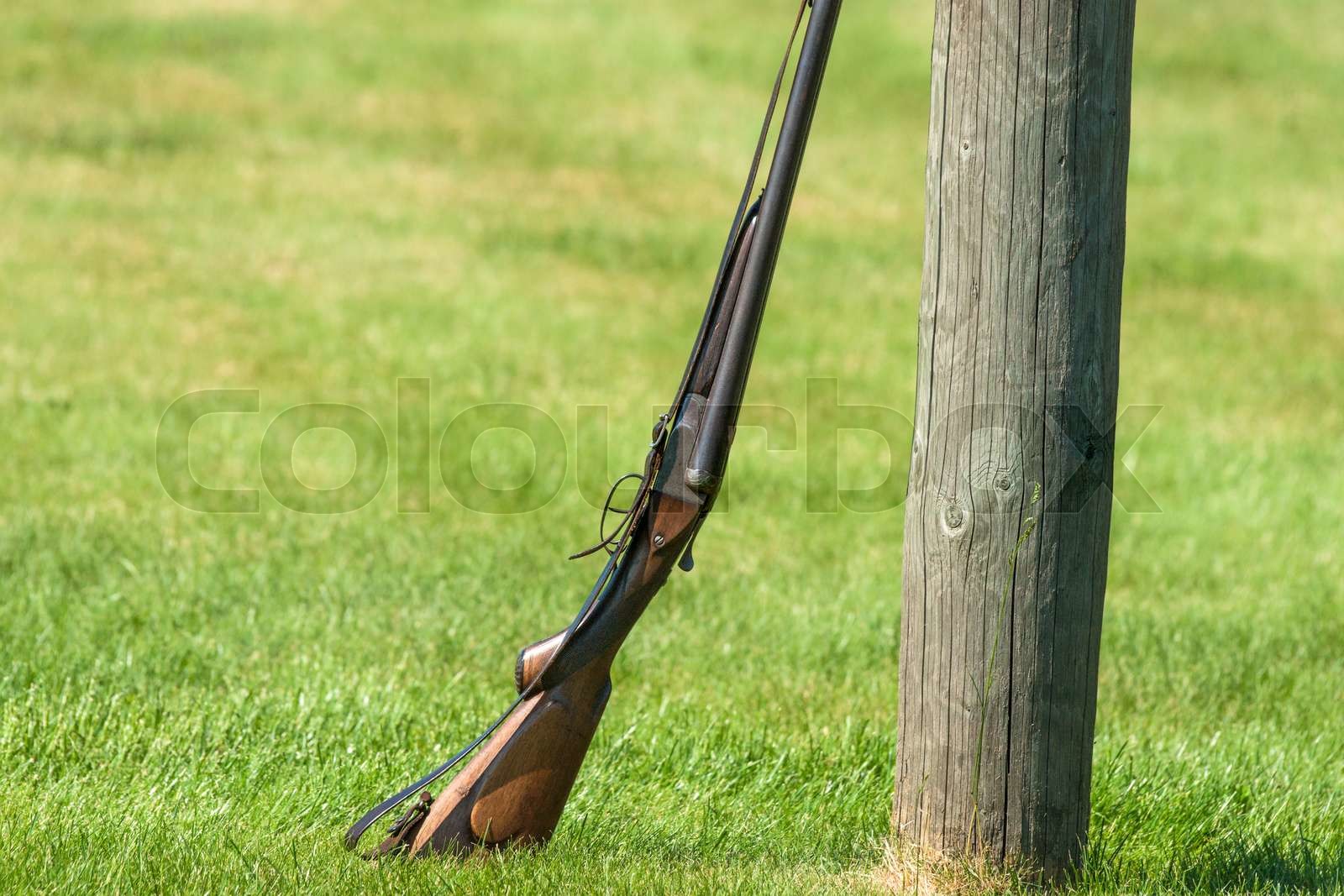 Riffel står op af en pæl på en græsplæne | Stock foto | Colourbox