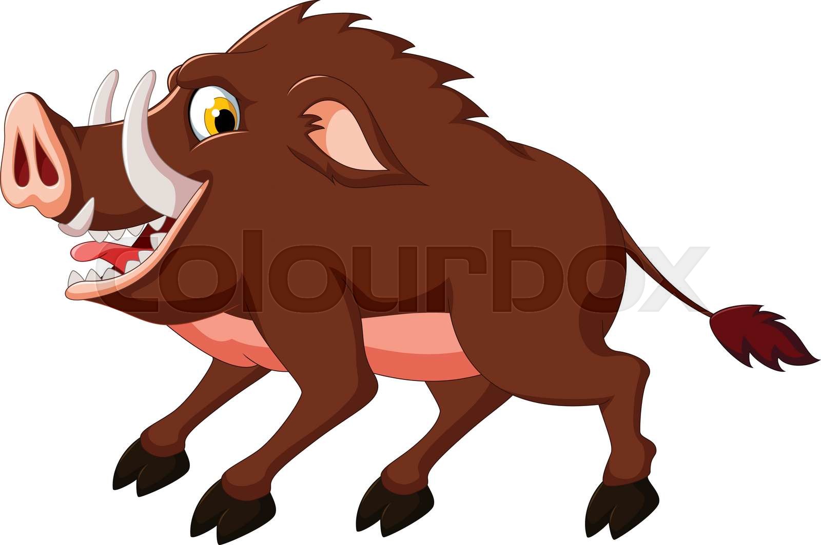 cute wild boar cartoon | Stock vector | Colourbox