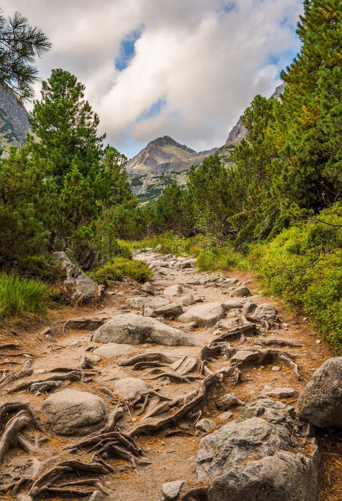 Hiking Trail in the Mountains | Stock image | Colourbox