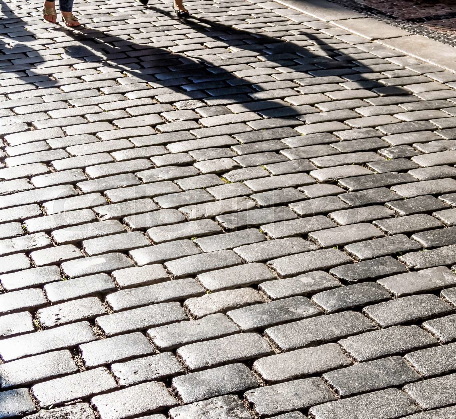 shadows on pavement | Stock image | Colourbox