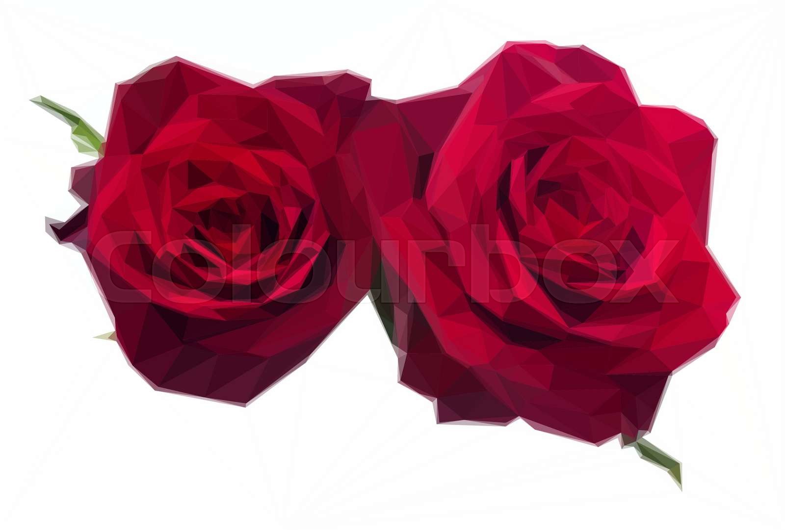 two dark red roses | Stock vector | Colourbox
