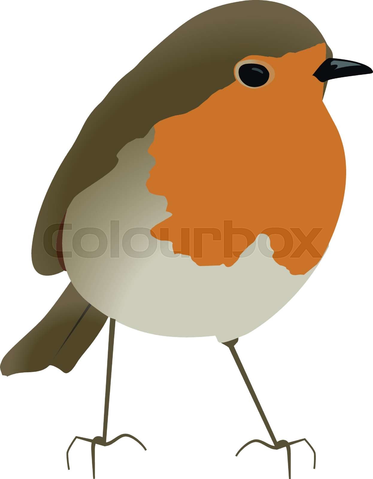 ROBIN | Stock vector | Colourbox