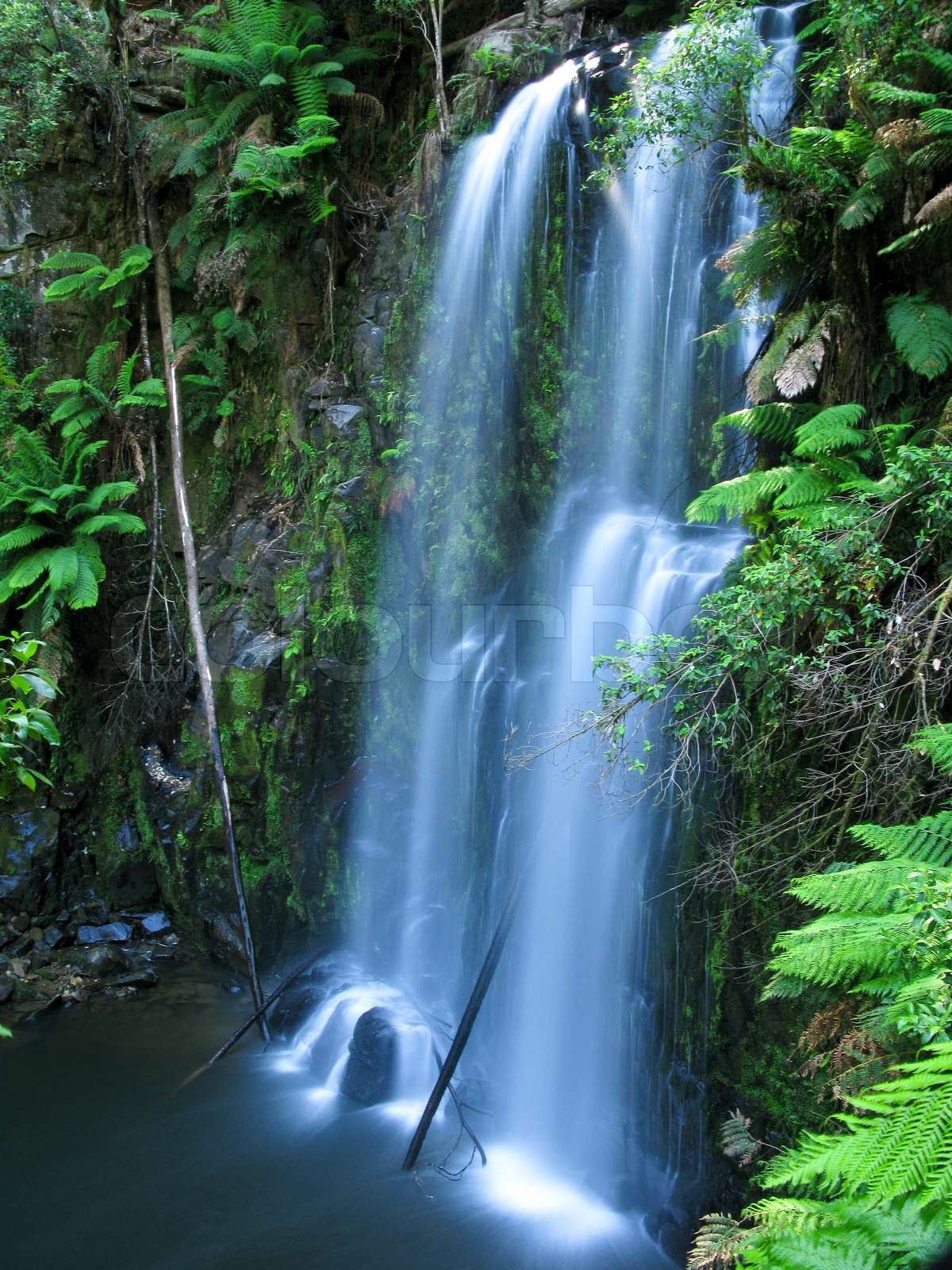medium sized water fall in a rain forest in australia | Stock image ...
