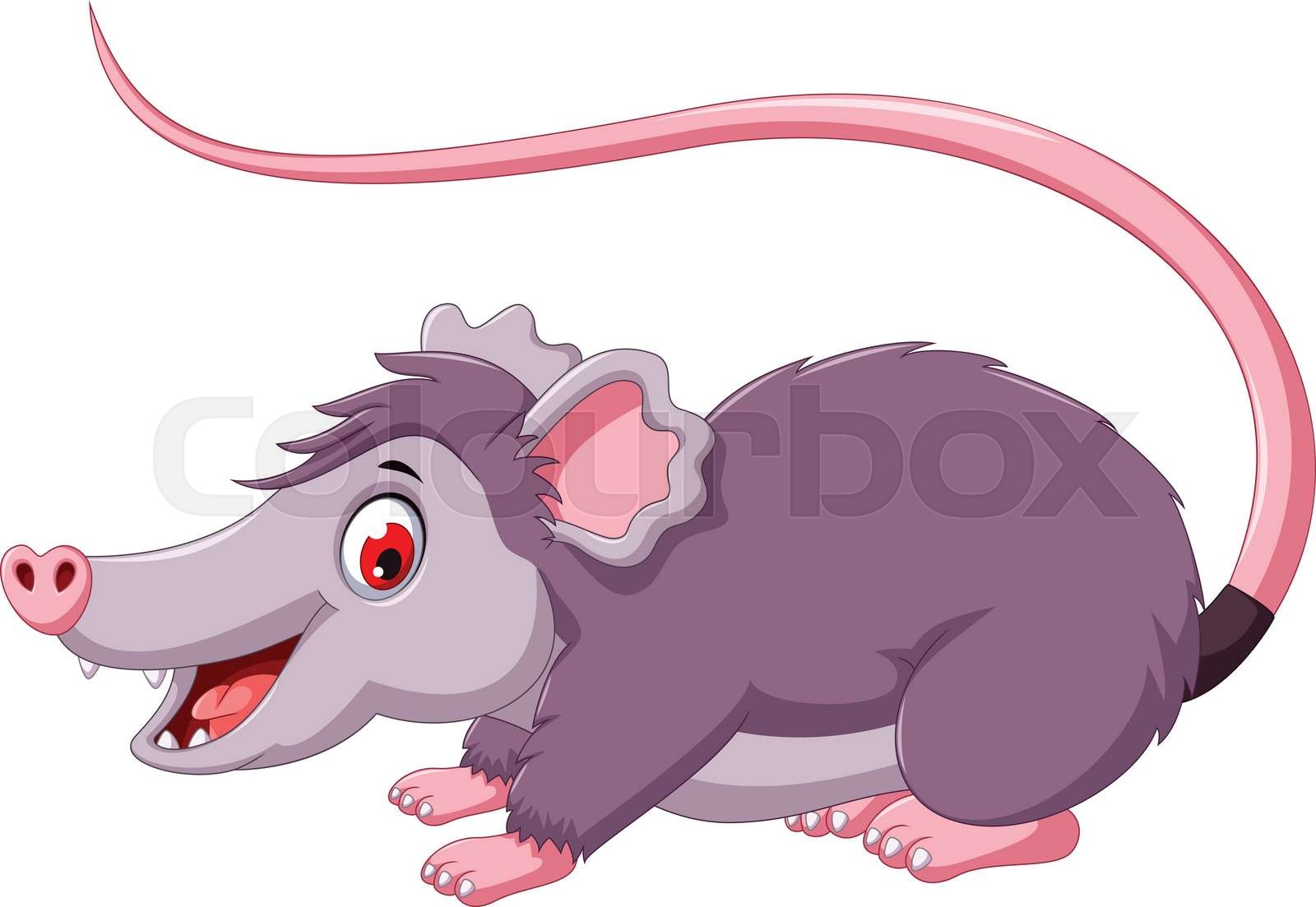 cute cartoon opossum posing | Stock vector | Colourbox