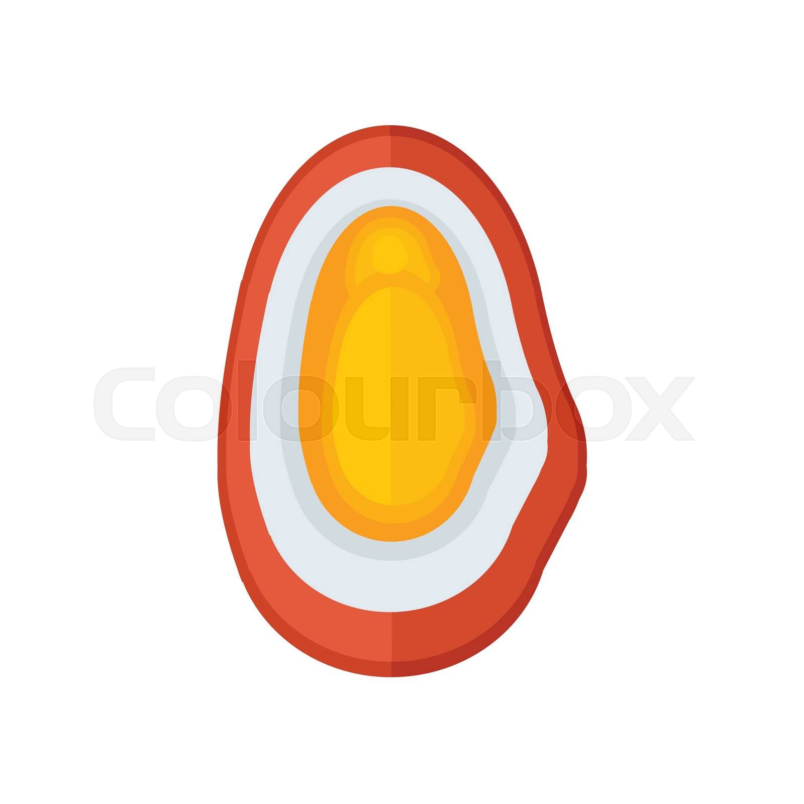 orange Shellfish, vector cartoon | Stock vector | Colourbox
