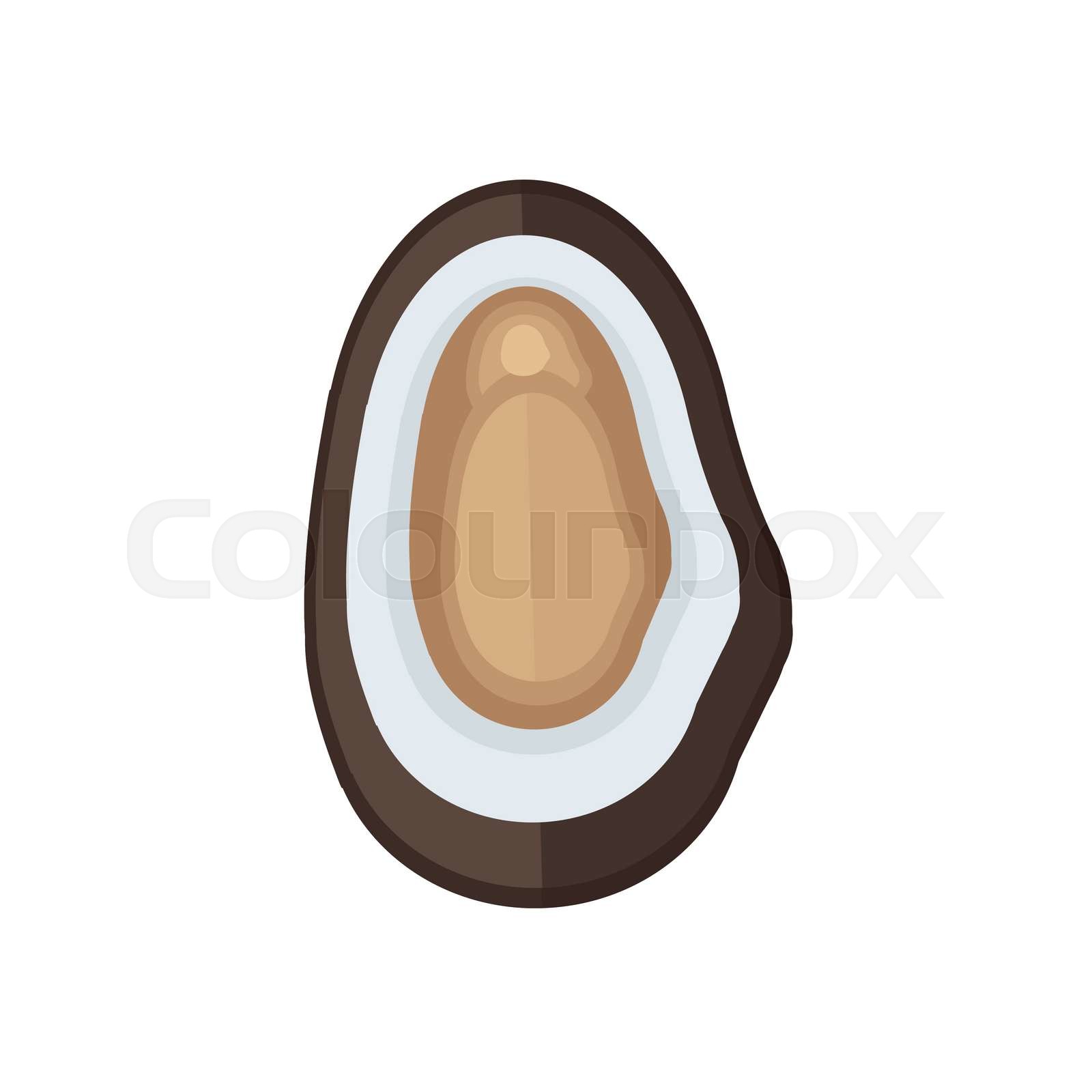 Brown Shellfish, vector cartoon | Stock vector | Colourbox