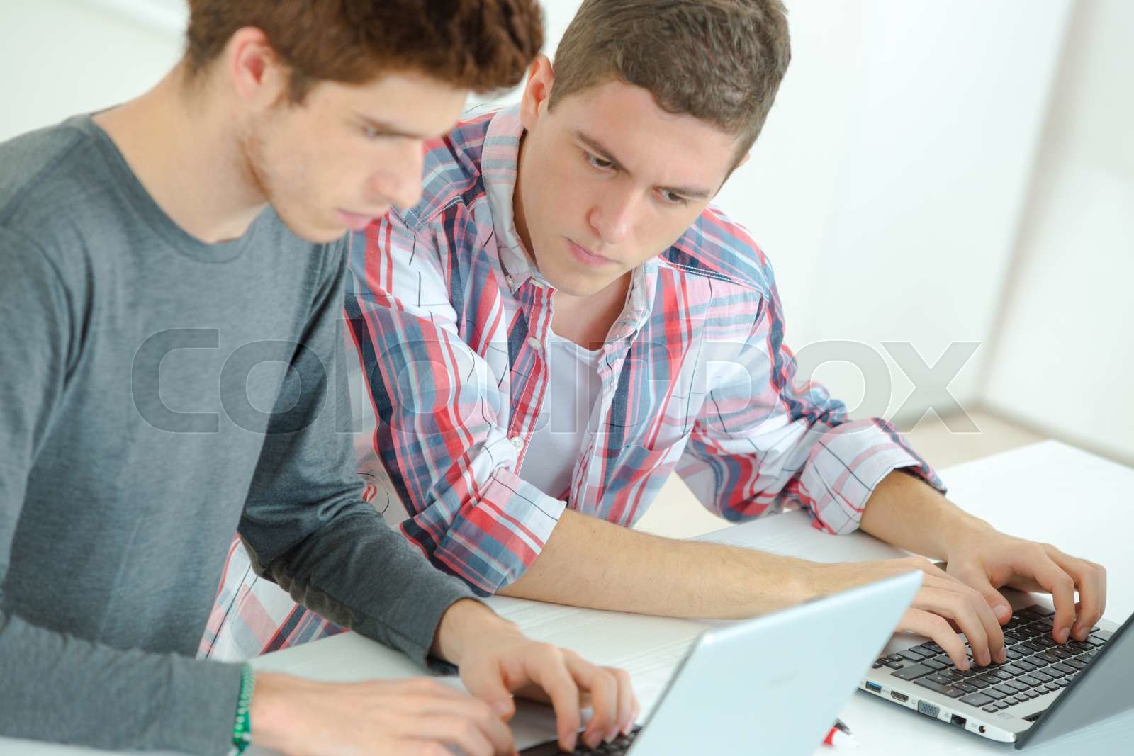 Two guys studying | Stock image | Colourbox