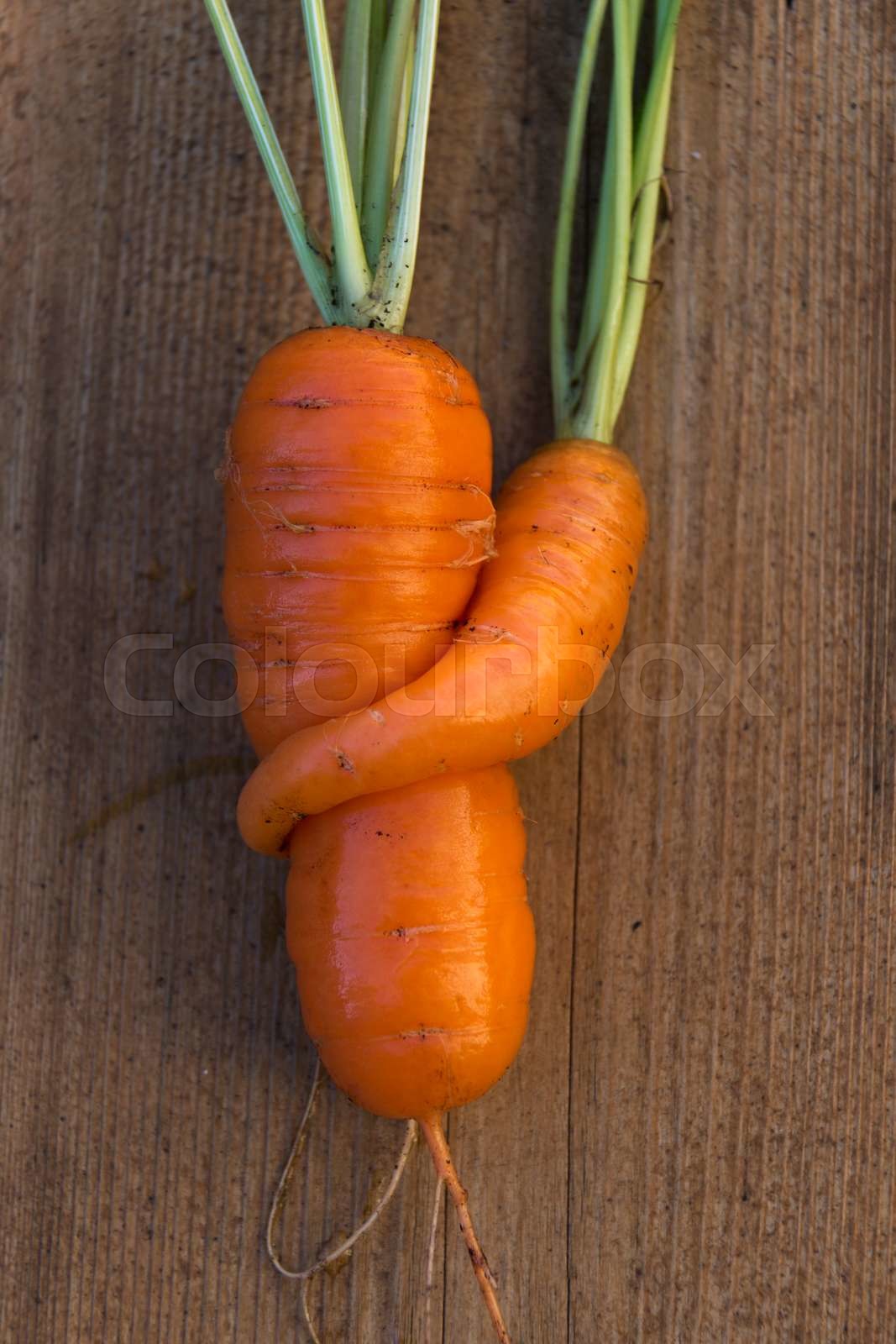 Two carrots hugging - love symbol | Stock image | Colourbox