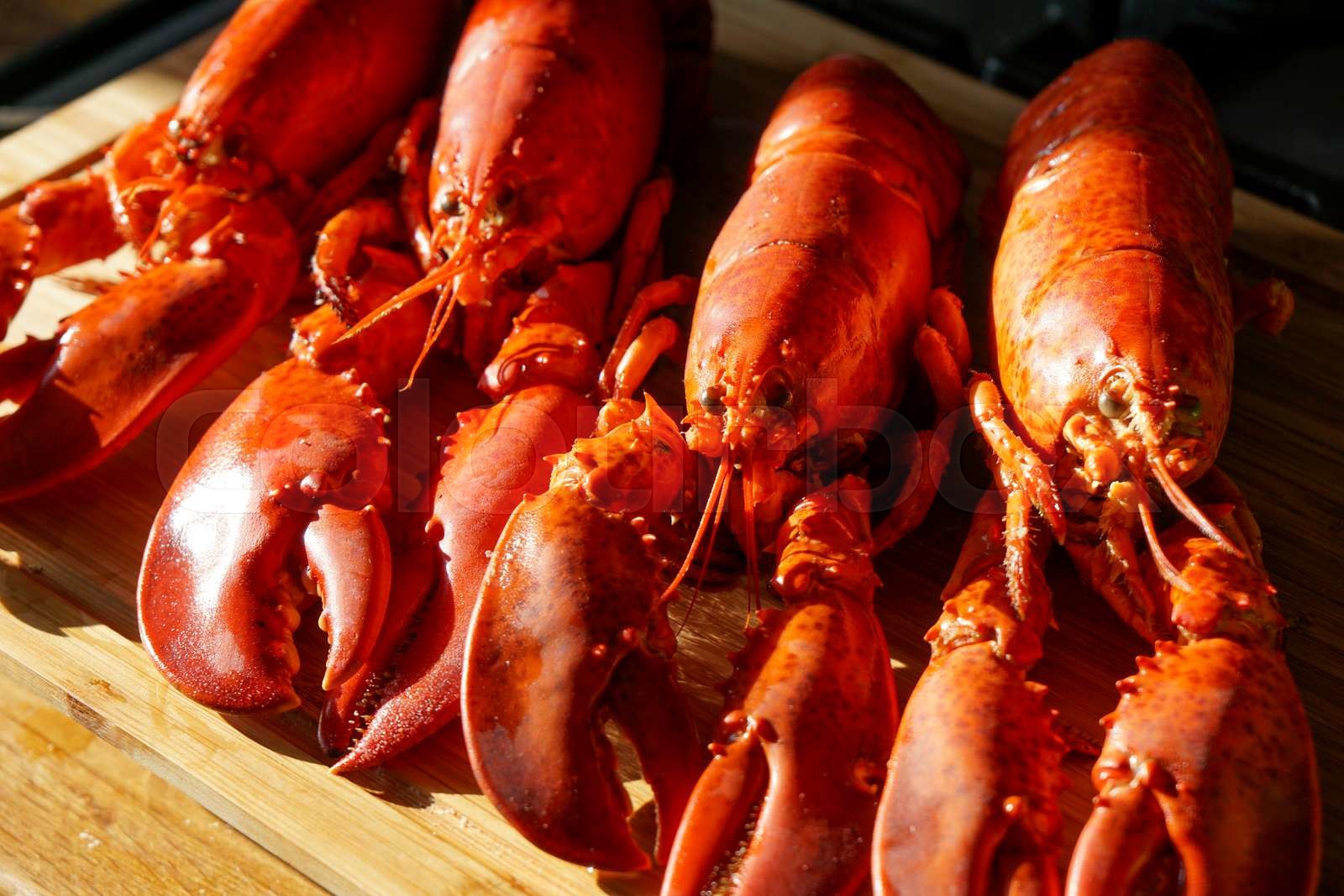 Cooked red Lobsters | Stock image | Colourbox