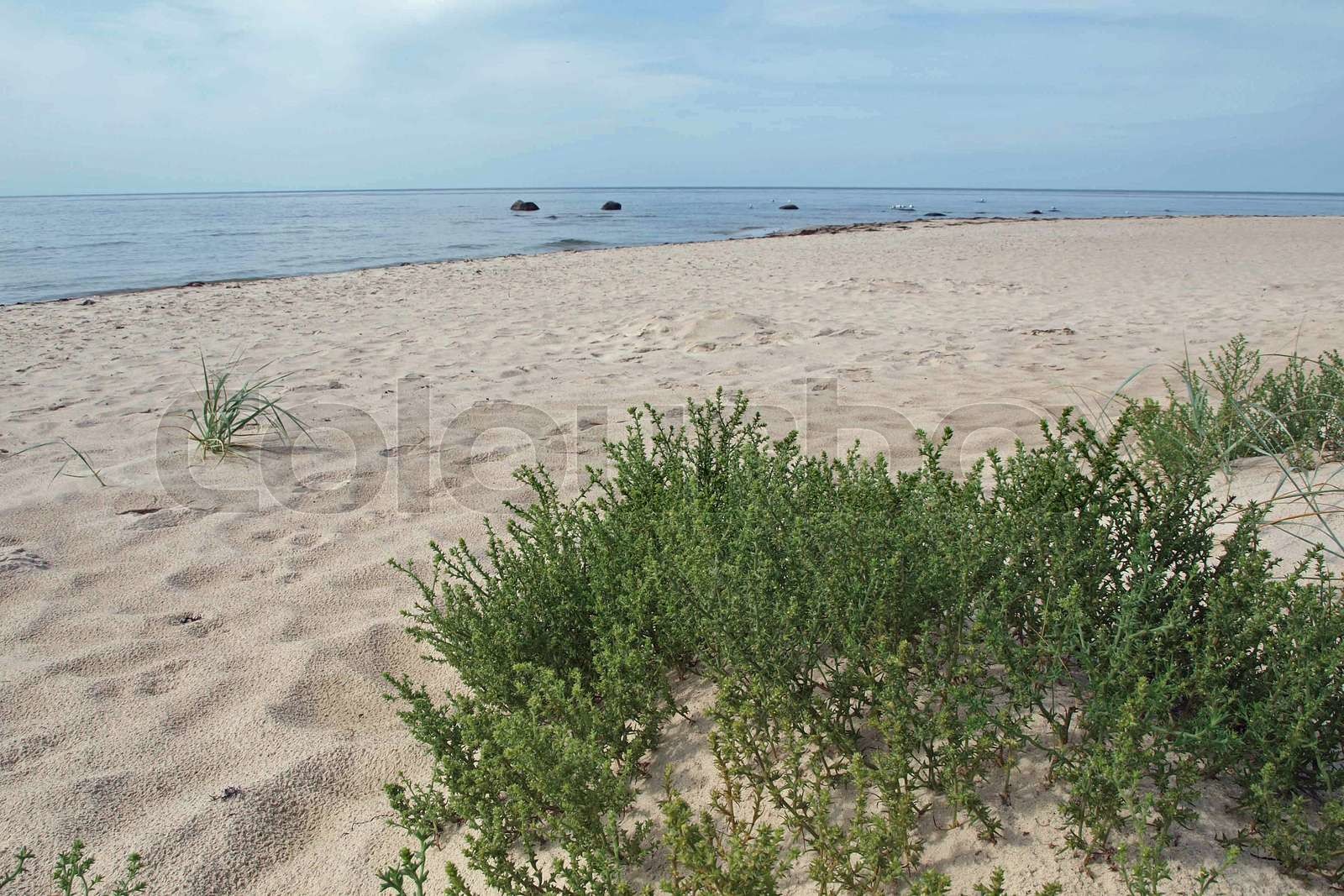 Sommer på stranden | Stock foto | Colourbox