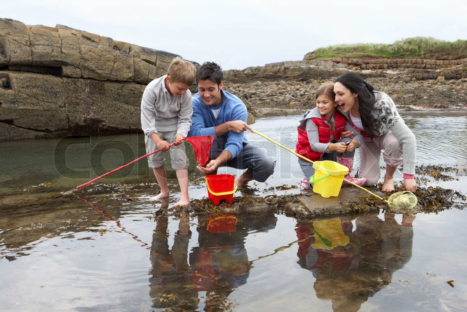 Young family at beach collecting shells | Stock image | Colourbox