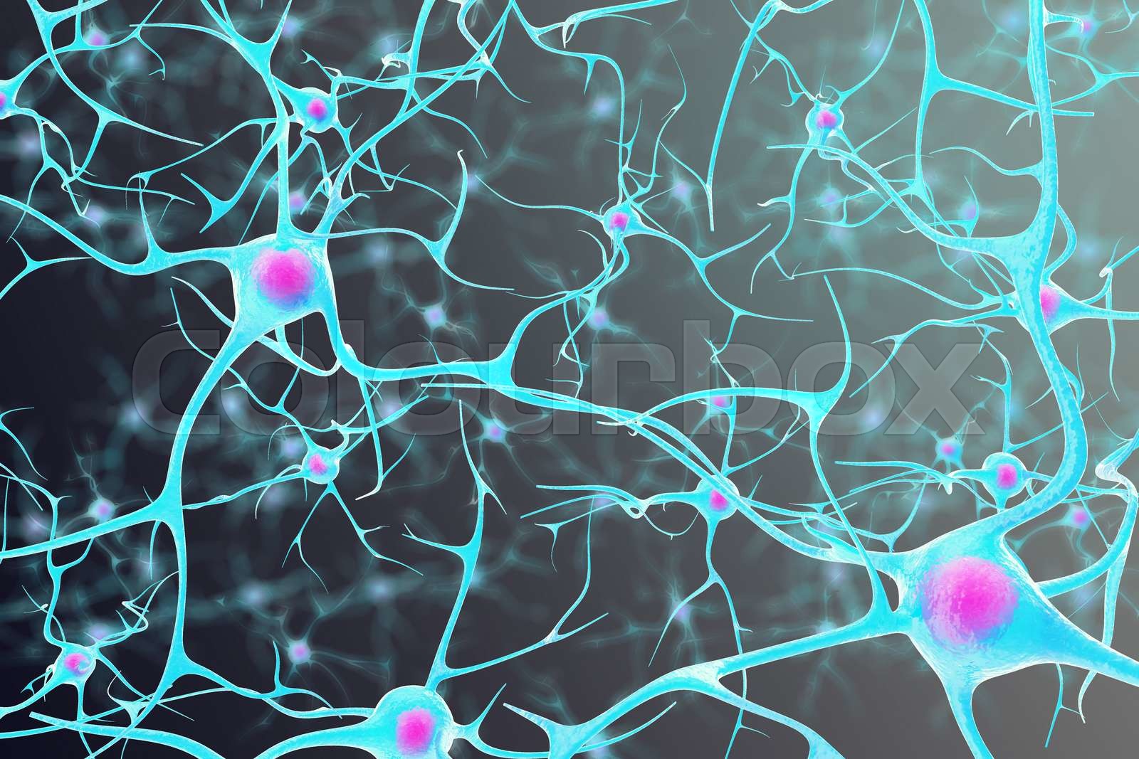 neuronen, gehirn, naturwissenschaft | Stock Bild | Colourbox