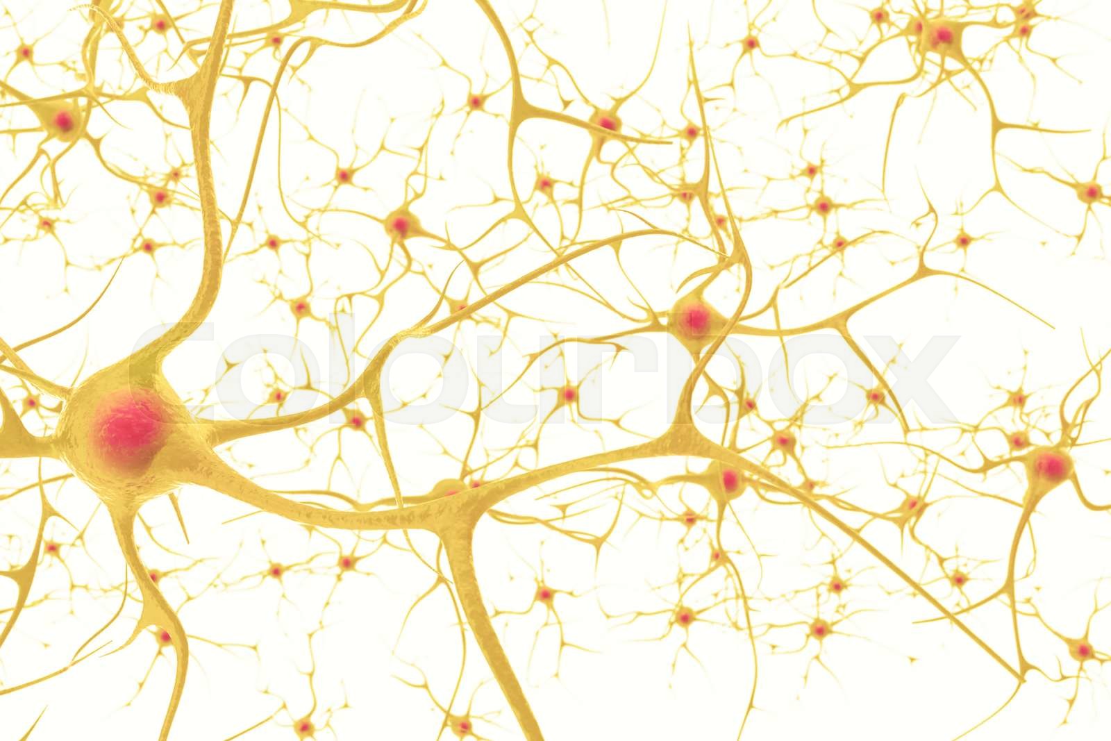 Neurons in the human nervous system with the effect of depth field. 3d ...