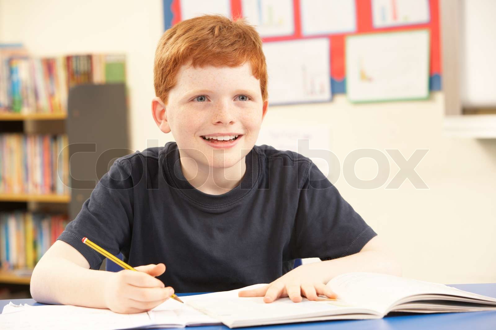 Schoolboy Studying In Classroom | Stock image | Colourbox