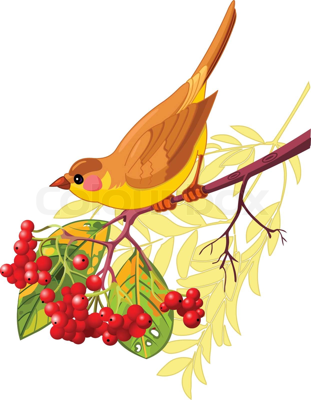 Autumn bird | Stock vector | Colourbox