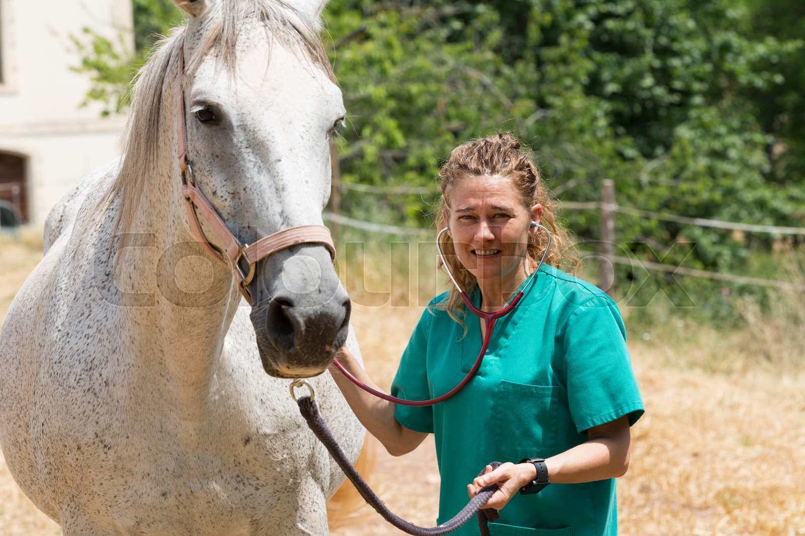 Veterinary on a farm | Stock image | Colourbox