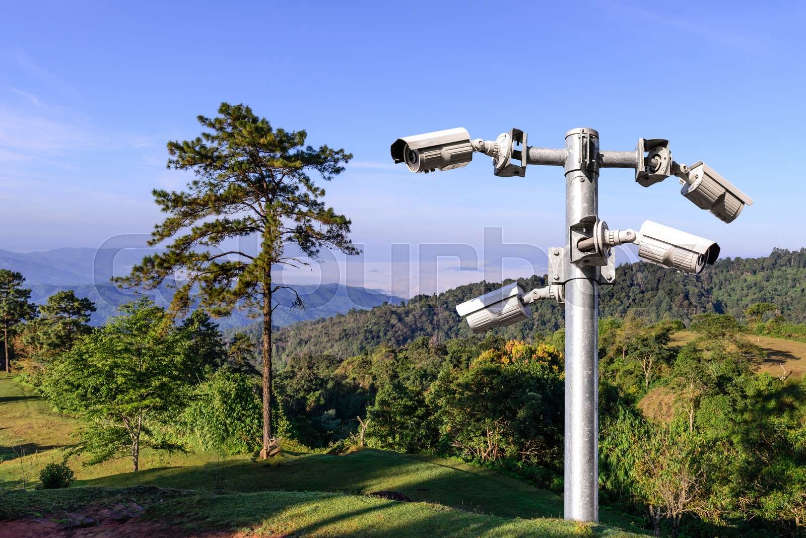 Security camera CCTV for monitoring and protection forest. | Stock ...