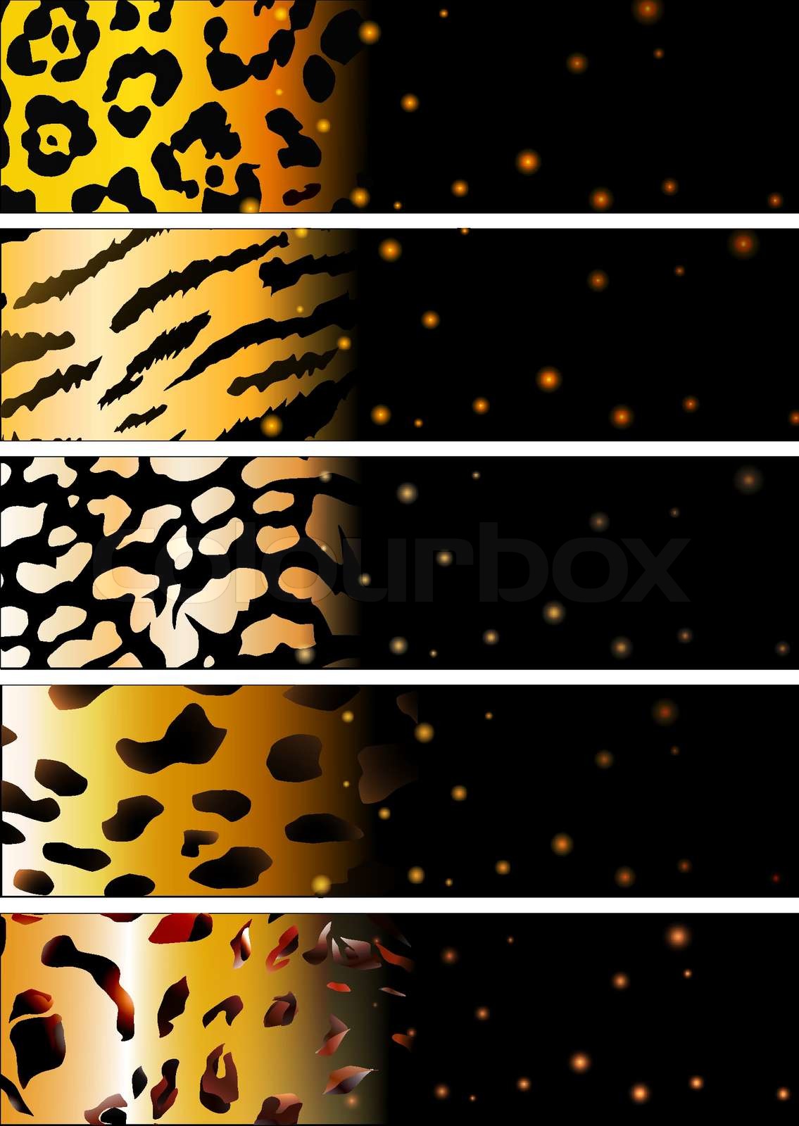 wild animal web banner set with copyspace | Stock vector | Colourbox