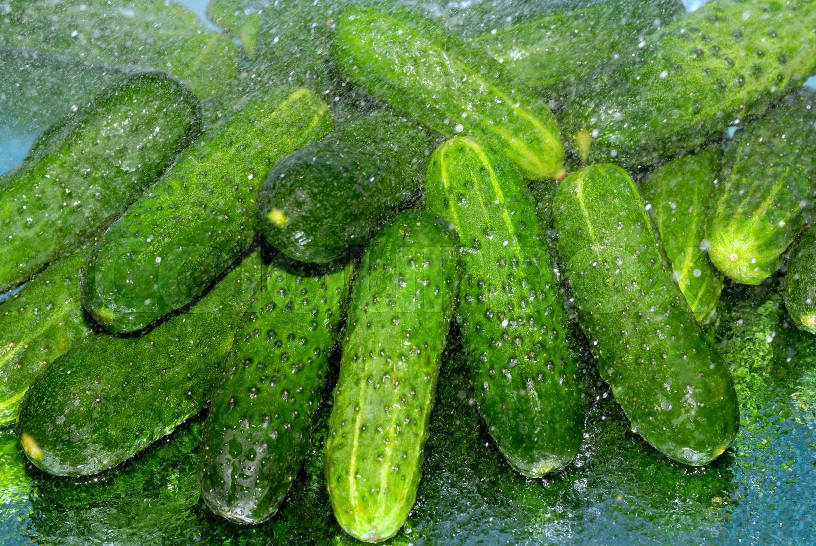 Cucumbers in water | Stock image | Colourbox