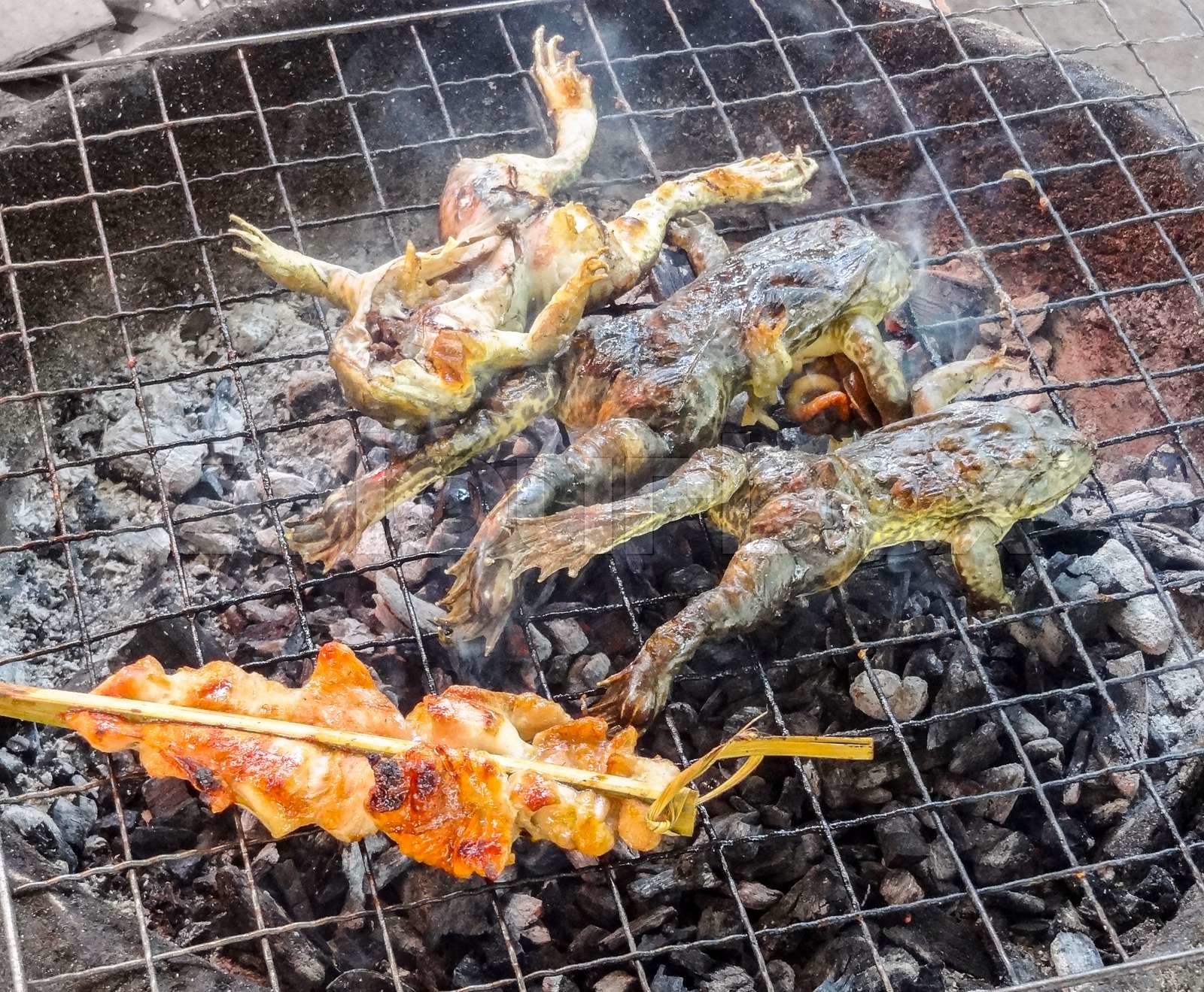 barbecue with frogs | Stock image | Colourbox