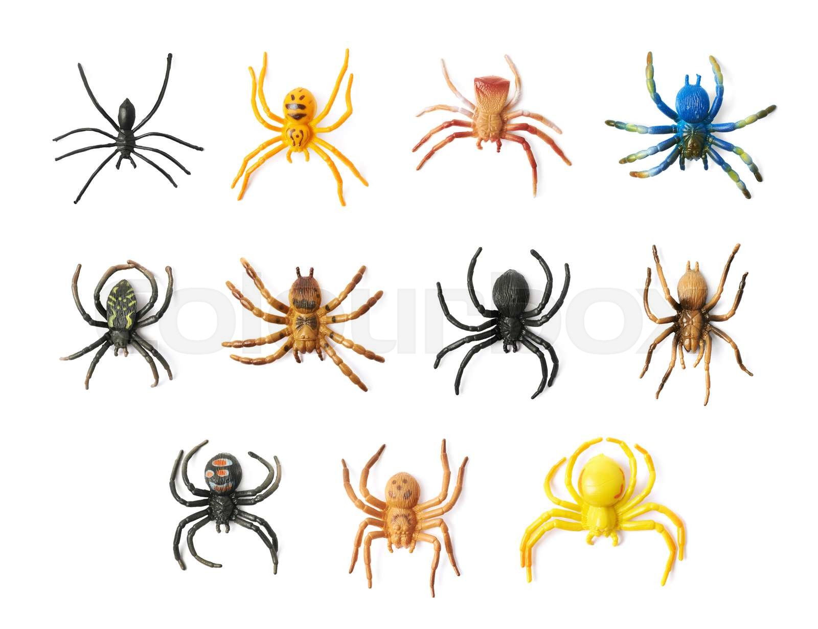 Fake rubber spider toy isolated | Stock image | Colourbox