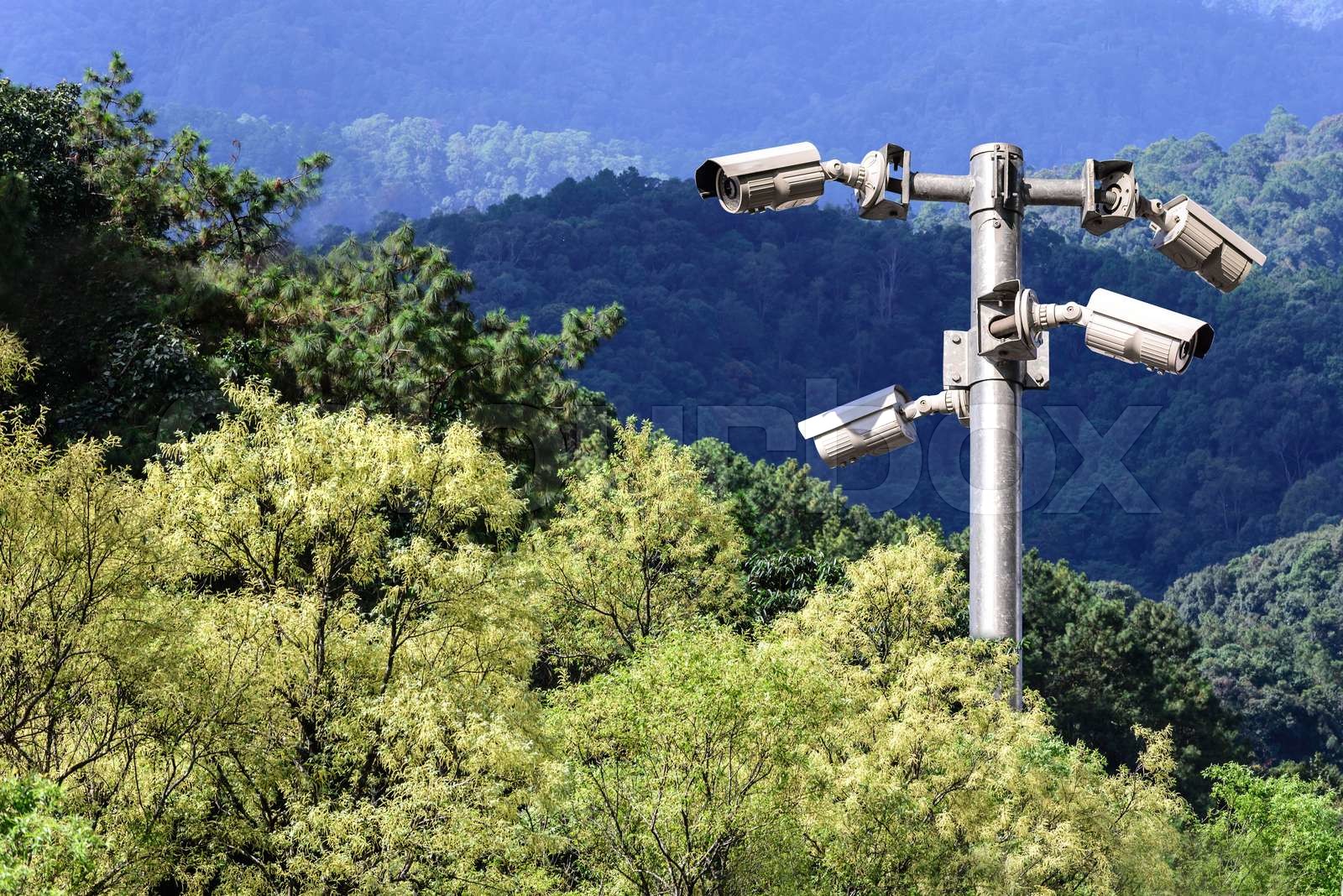 Security camera CCTV for monitoring and protection forest. | Stock ...