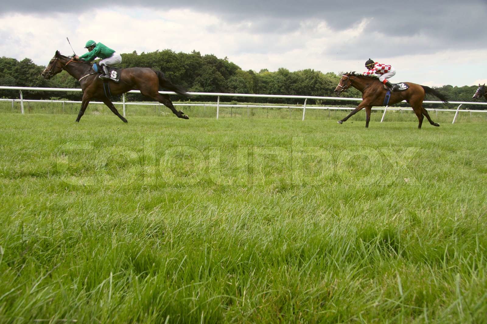 Racing Jockeys und Pferde Rennen | Stock Bild | Colourbox