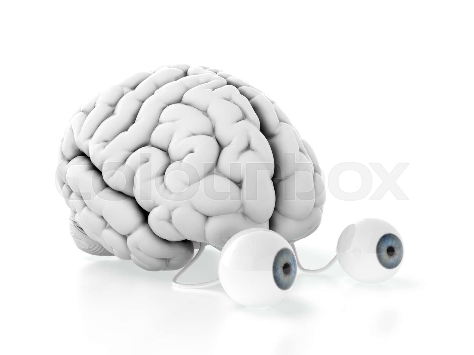 Brain with eyes | Stock image | Colourbox