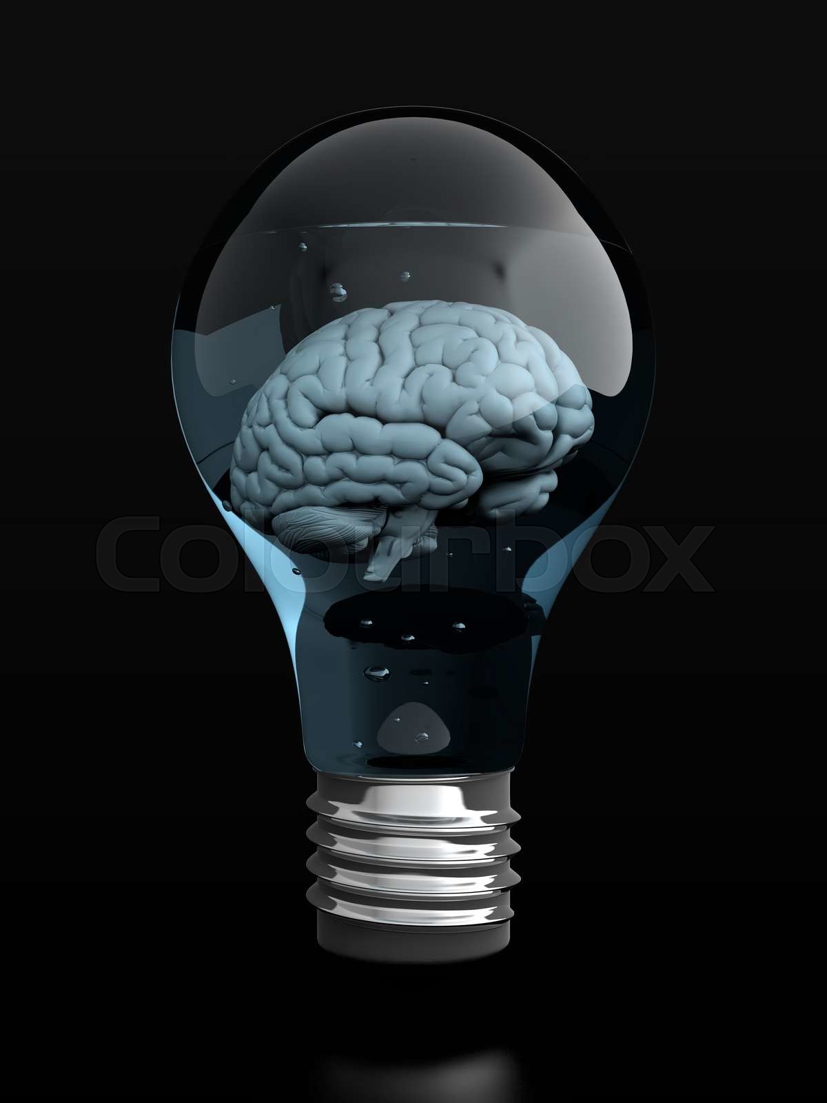Brain in light bulb | Stock image | Colourbox