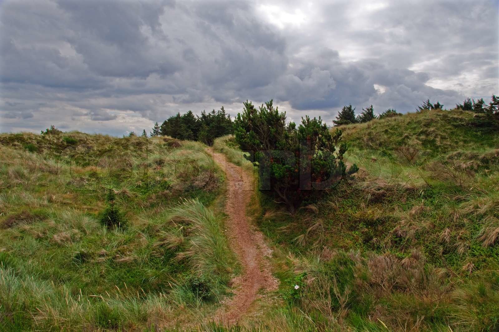 A rough landscape and the way to the top | Stock image | Colourbox