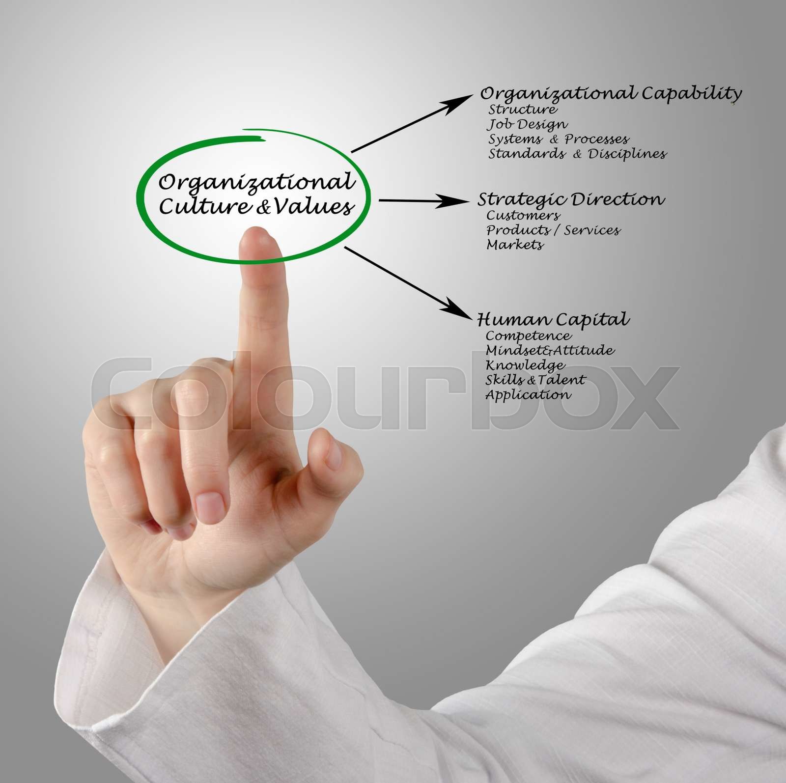Organizational Culture&Values | Stock image | Colourbox