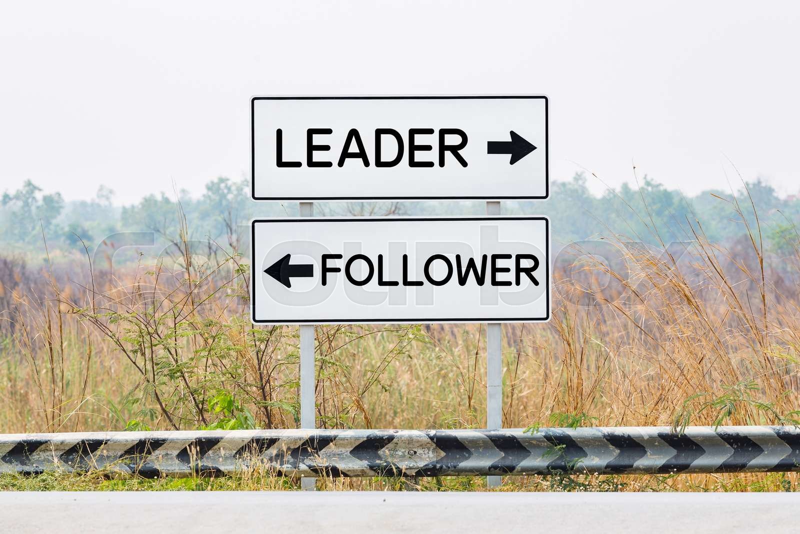 Road sign boards with leader and follower text | Stock image | Colourbox