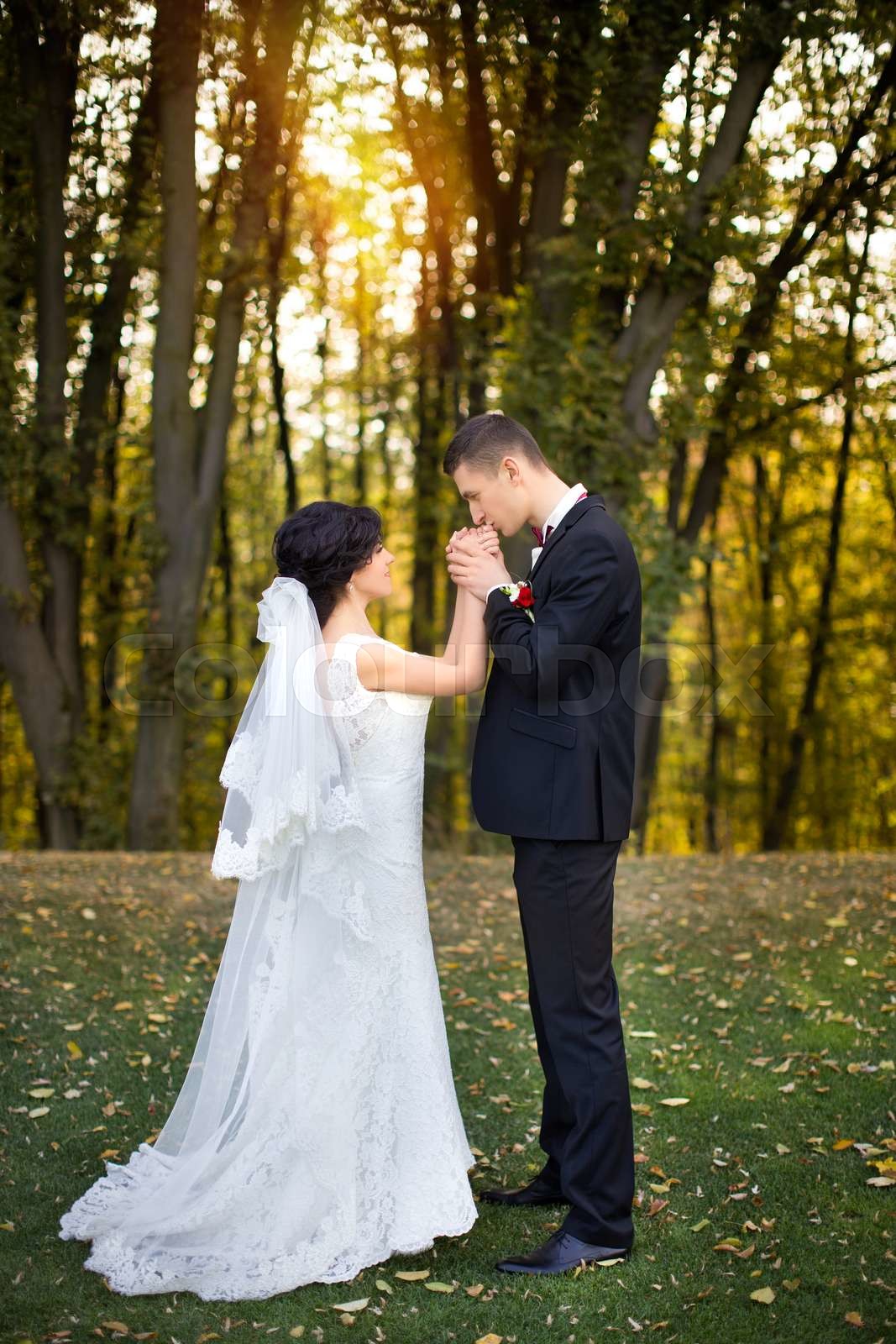 Beautiful bride and groom. Just merried. | Stock image | Colourbox
