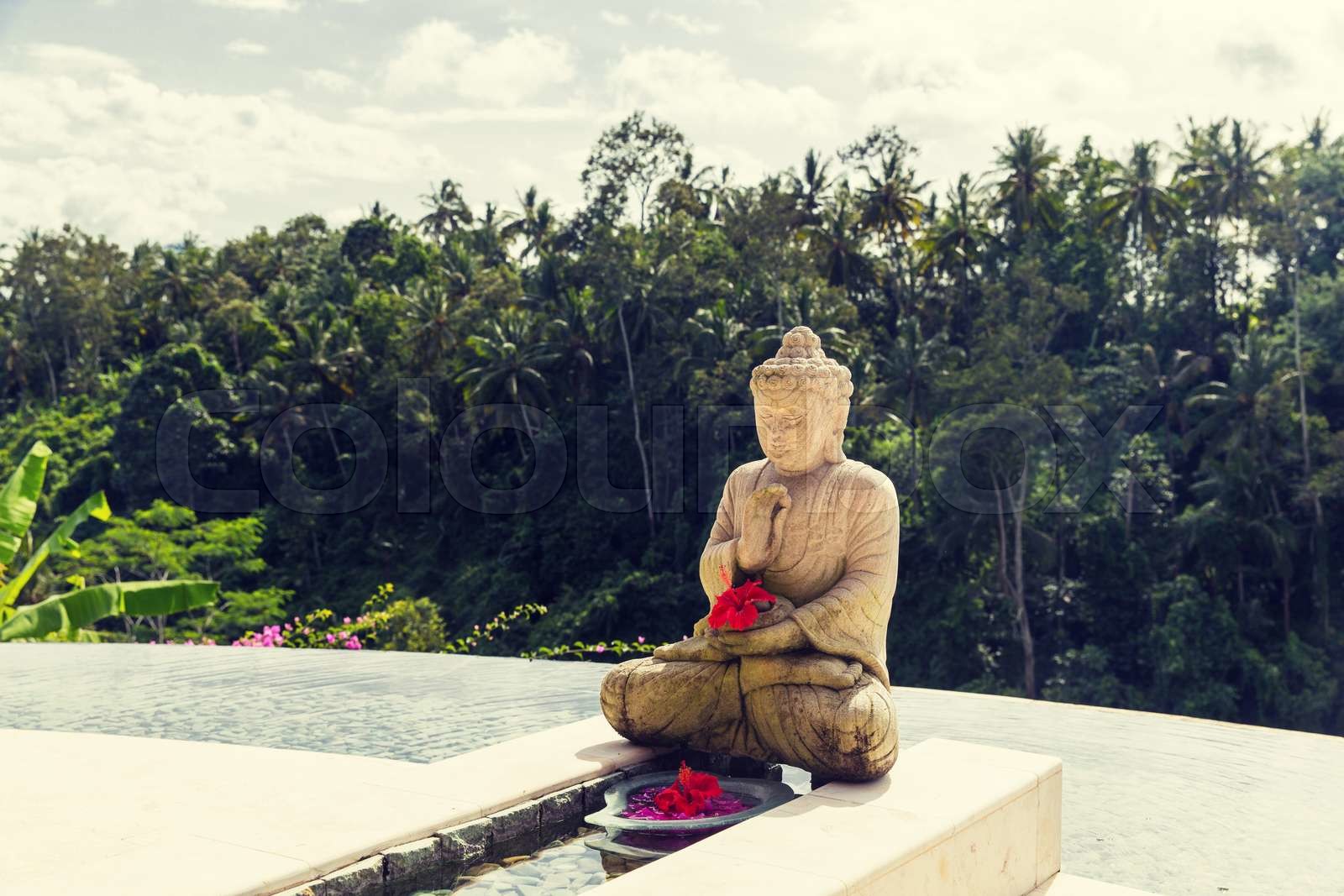 infinity edge pool with buddha statue | Stock image | Colourbox