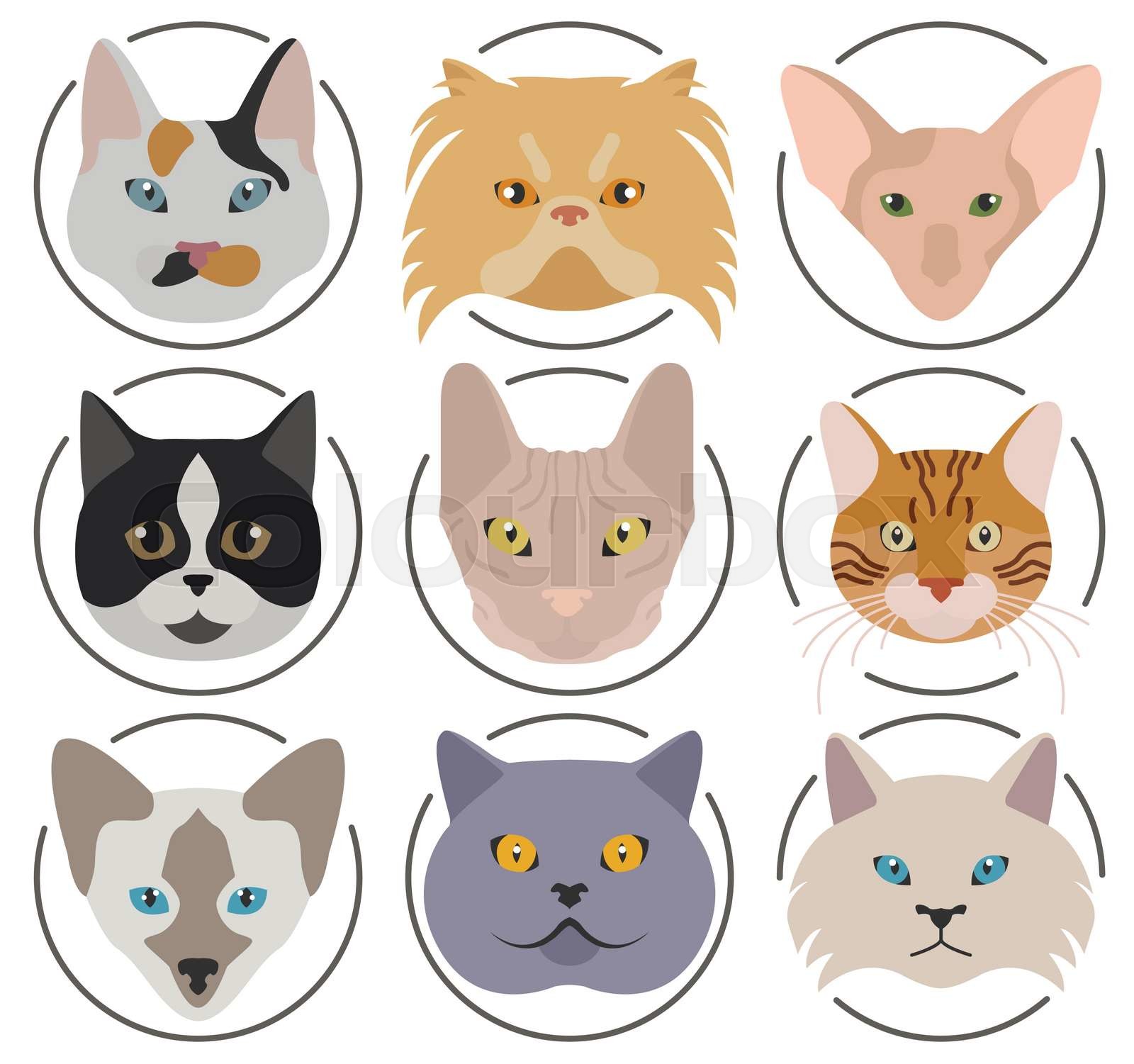 Cat breeds icon set flat style | Stock vector | Colourbox