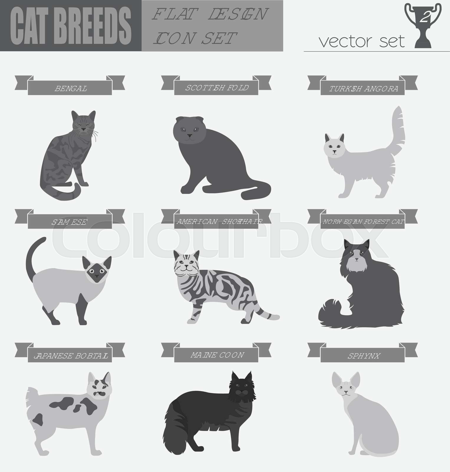 Cat breeds icon set flat style | Stock vector | Colourbox