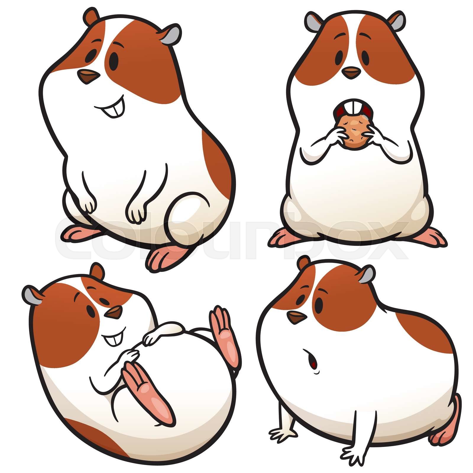 Hamster Character | Stock vector | Colourbox