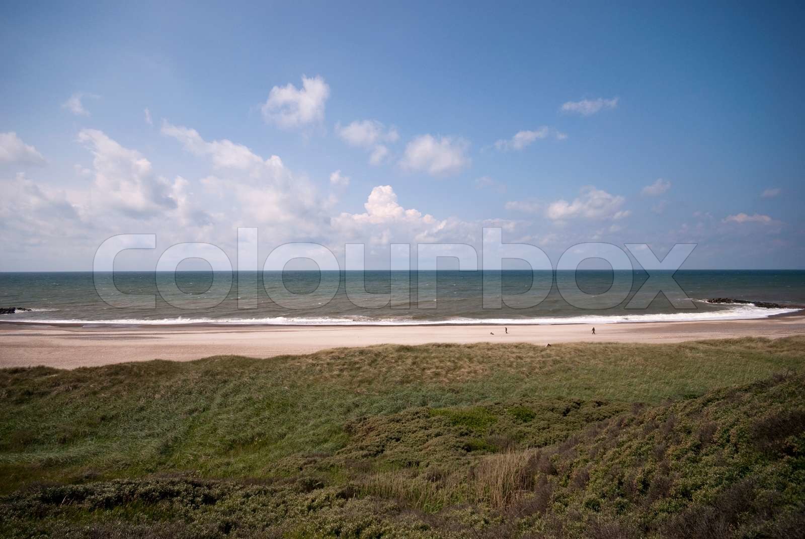 Danish North Sea beach. | Stock image | Colourbox