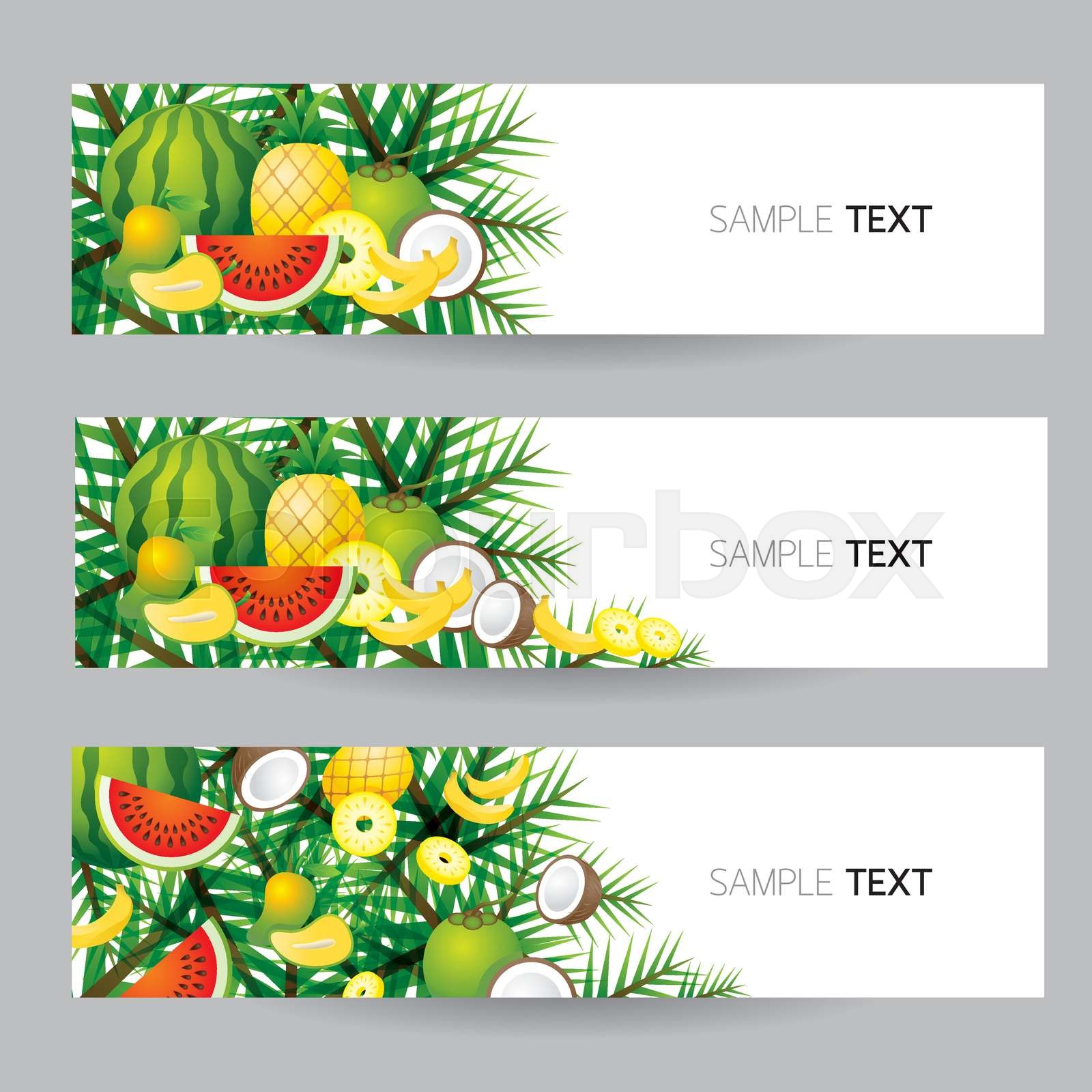 Mixed Tropical Fruits, Banner | Stock vector | Colourbox