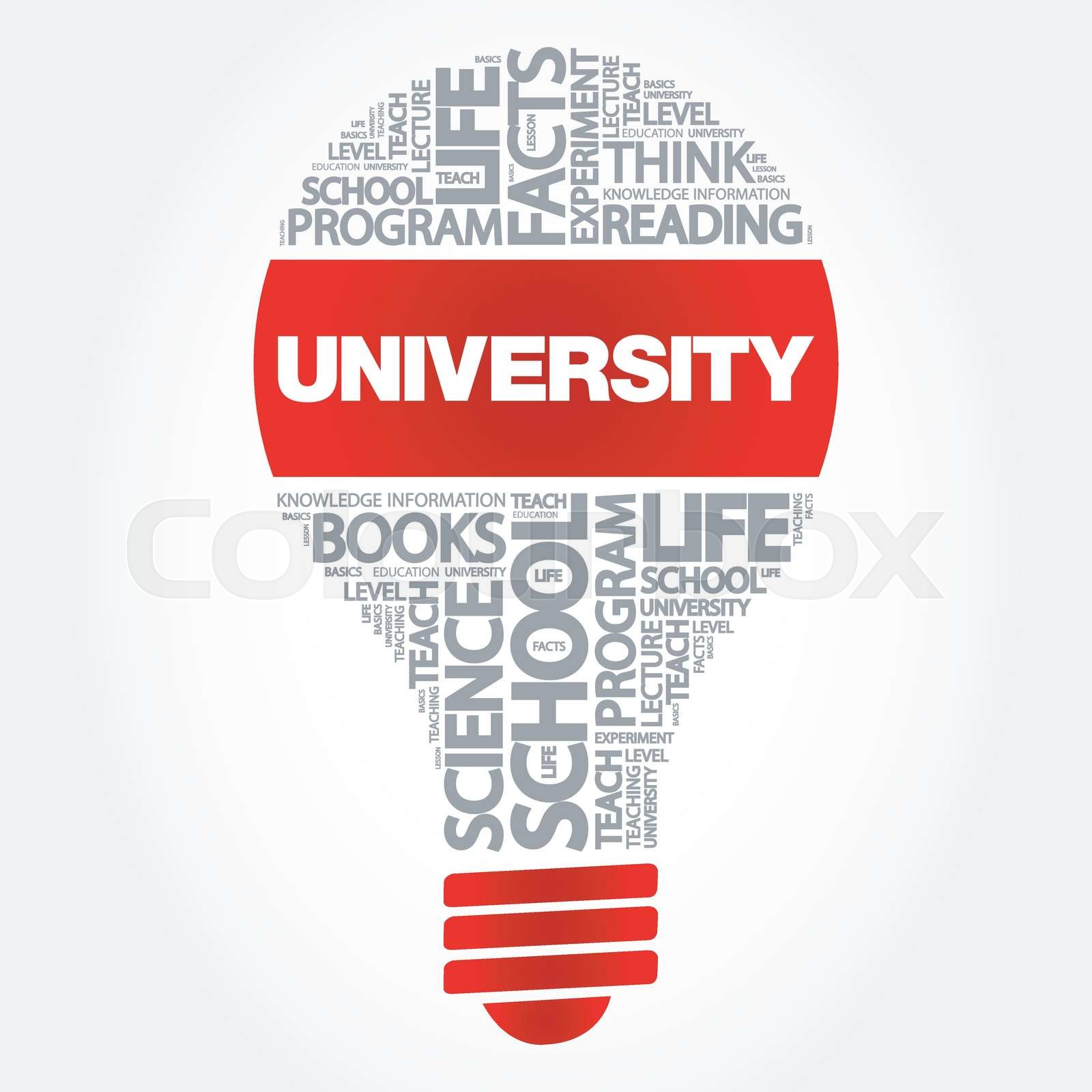 UNIVERSITY bulb word cloud | Stock vector | Colourbox