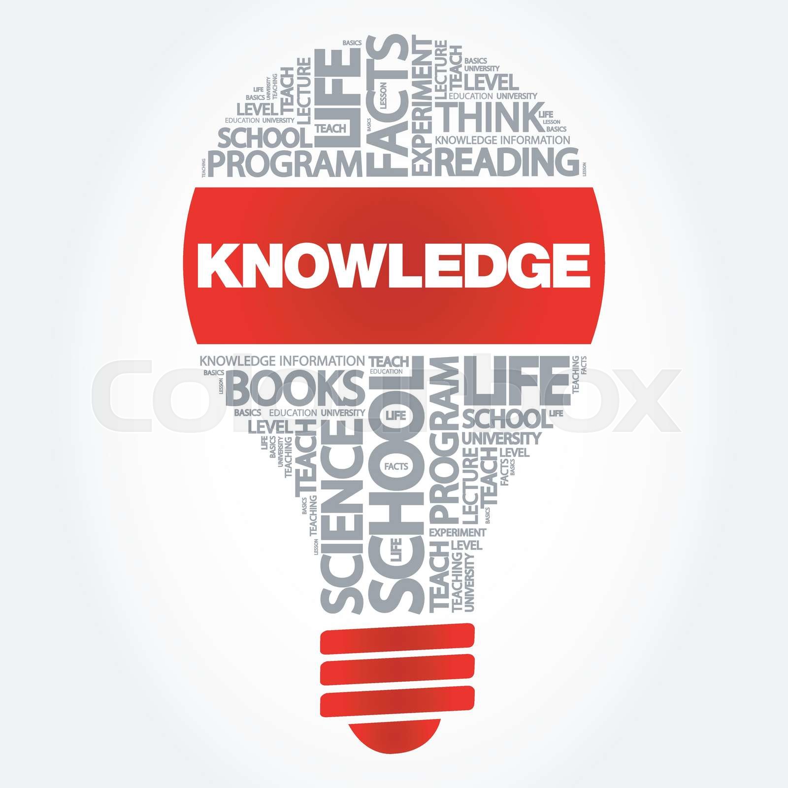 KNOWLEDGE bulb word cloud | Stock vector | Colourbox