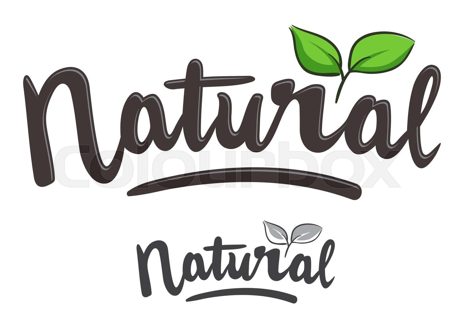 Natural Hand Writing Typography Art | Stock vector | Colourbox