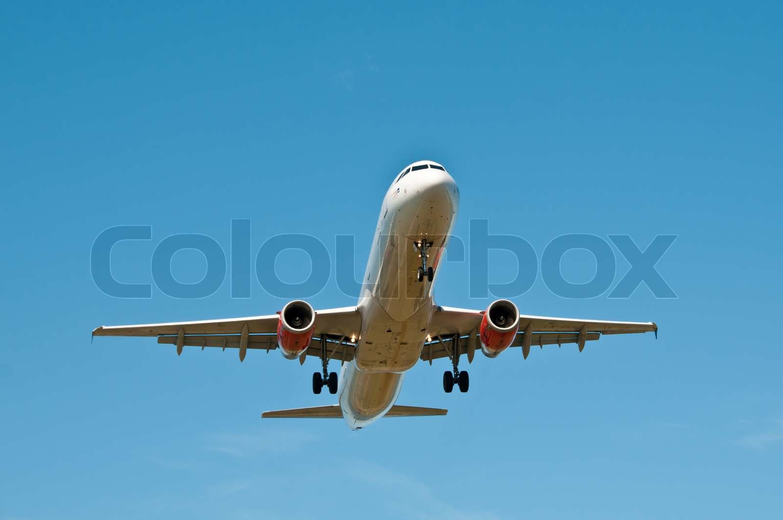 Fly og blå himmel | Stock image | Colourbox