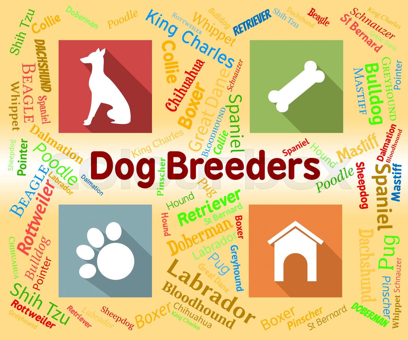 Dog Breeders Represents Mating Reproducing And Pup | Stock image ...