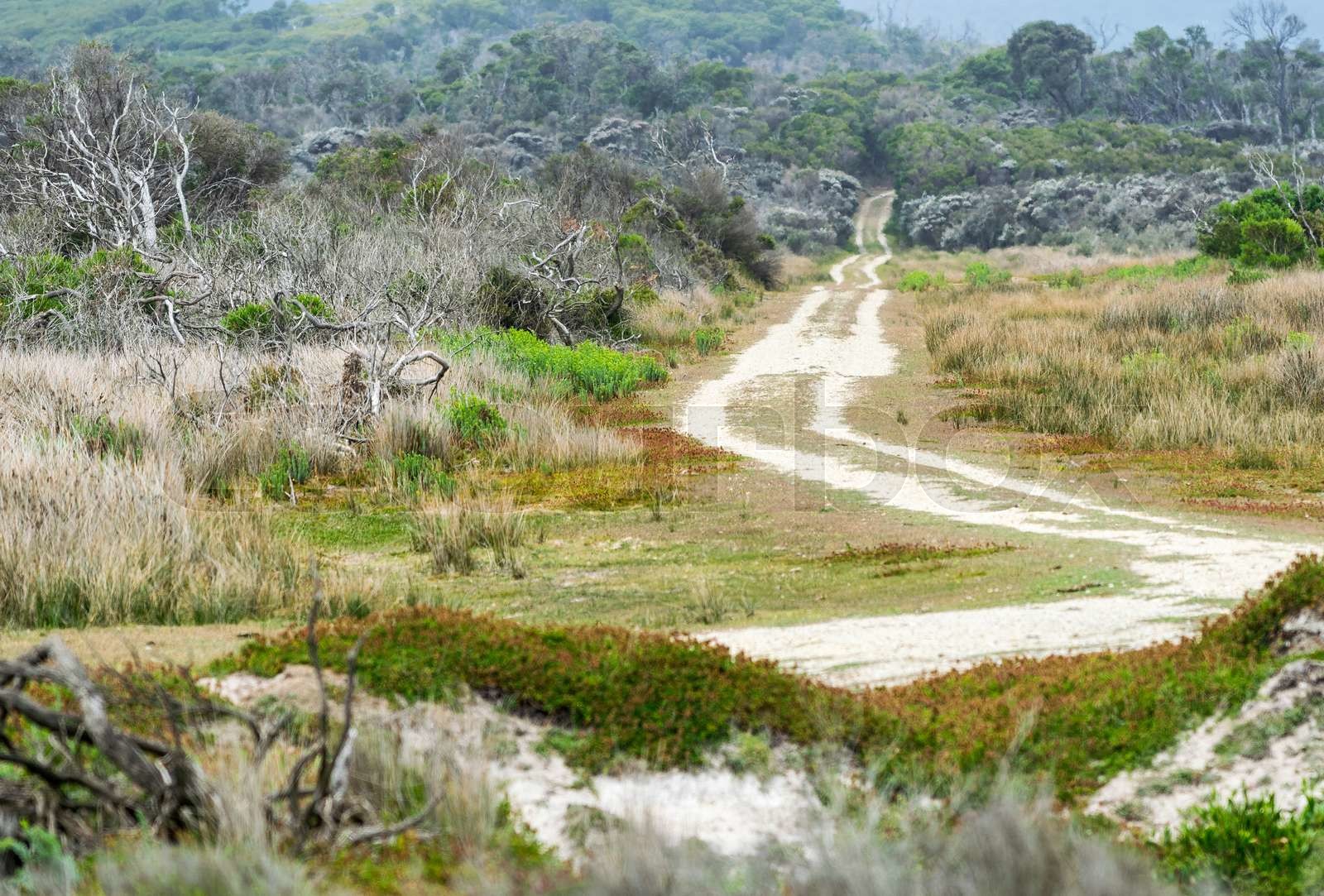 Road across Victoria countryside, Australia | Stock image | Colourbox