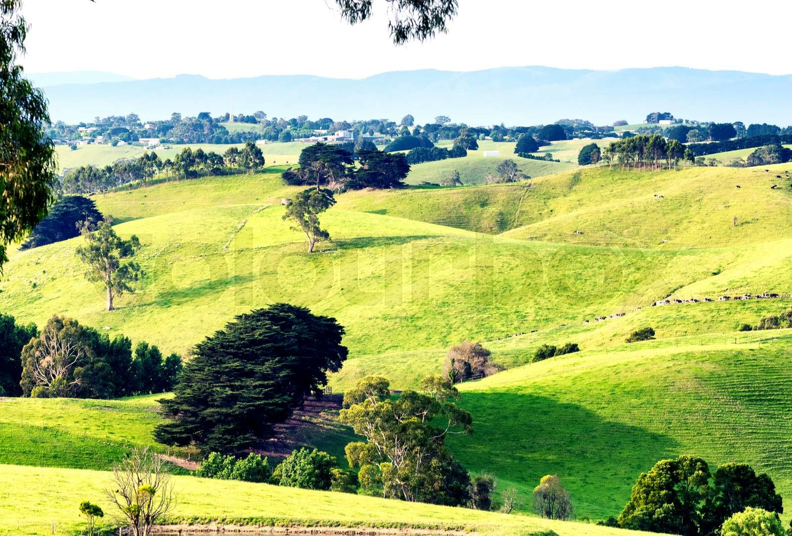 Countryside of Victoria state, Australia | Stock image | Colourbox
