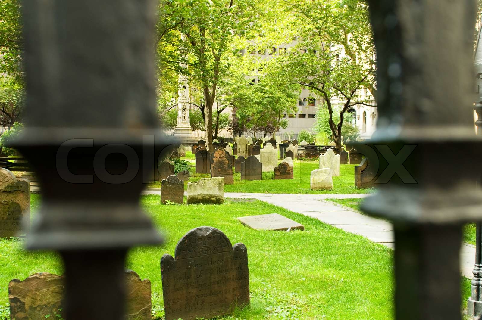 Cemetery with many tombstones on the bright day | Stock image | Colourbox