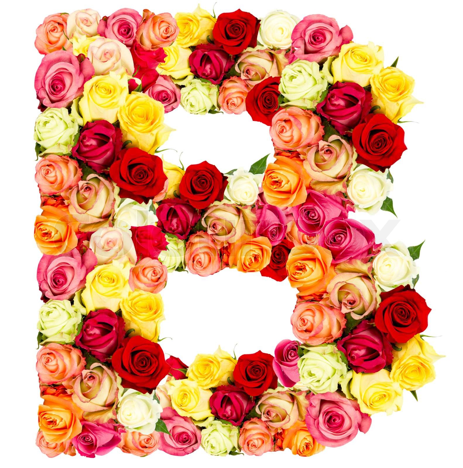 R, roses flower alphabet isolated on white | Stock image | Colourbox